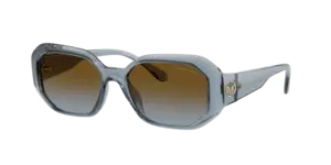 Michael Kors Michael Kors Sunglasses Brown Blue Gradient