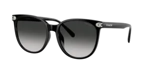 COACH Sunglasses - Grey Gradient