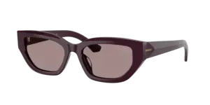 Burberry Sunglasses - Violet