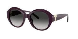 Tiffany & Co. Sunglasses Grey Gradient