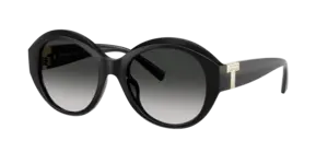 Tiffany & Co. Sunglasses - Grey Gradient