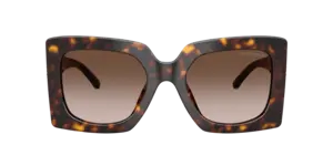 Dolce & Gabbana Sunglasses - Gradient Brown