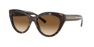 Tiffany & Co. Sunglasses - Clear Gradient Brown