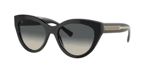 Tiffany & Co. Sunglasses - Grey Gradient