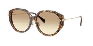 Michael Kors Black Oversized Cat Eye Sunglasses - Brown Gradient