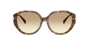 Michael Kors Black Oversized Cat Eye Sunglasses - Brown Gradient