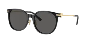 Tiffany & Co. Sunglasses - Grey Gradient