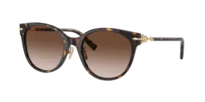 Tiffany & Co. Sunglasses - Brown Gradient