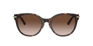Tiffany & Co. Sunglasses - Brown Gradient