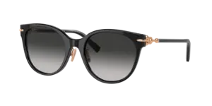 Tiffany & Co. Sunglasses - Grey Gradient