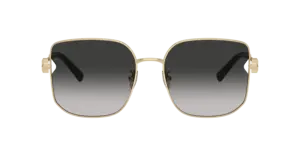 Tiffany & Co. Sunglasses
