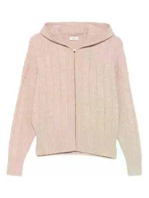 Agnona Cashmere Zip Hoodie