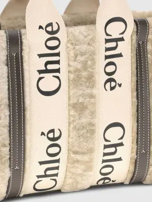 Chloé Handbag