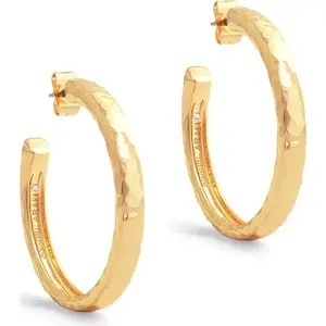 ANABEL ARAM JEWELRY Medium Farrier Hoop Earrings - Gold