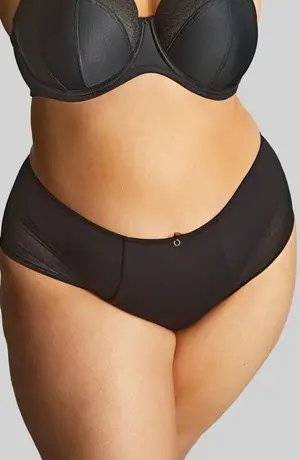 Panache Bliss Cheeky Briefs - Noir
