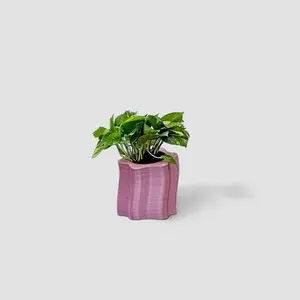 FORM & SEEK Frosting Short Planters - Pink
