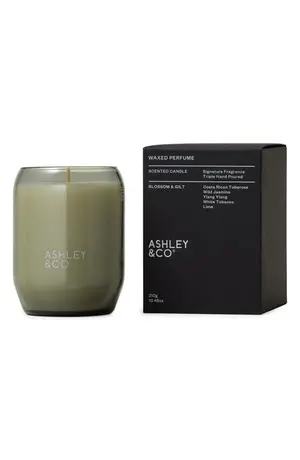 ASHLEY & CO Waxed Perfume Scented Candle - Blossom Gilt