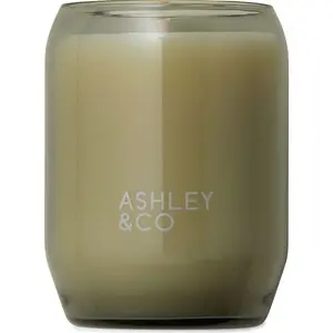 ASHLEY & CO Waxed Perfume Scented Candle - Parakeets Pearls