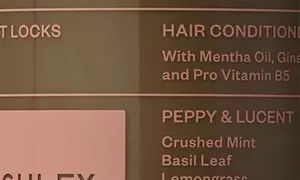 ASHLEY & CO Soft Locks Peppy & Lucent - Conditioner