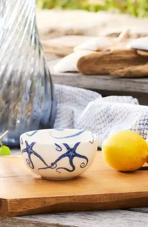 CASKATA Starfish Snack Bowl Porcelainset 4
