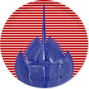 CASKATA Bunny Maximus Large Rectangular Birchwood Traywood & Melamine - Horseshoe Crab Tray