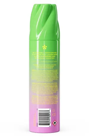 DAISE Foaming Body Wash - Melon