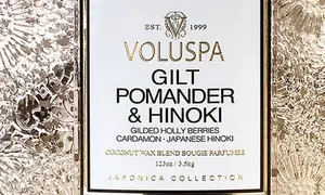 Voluspa Gilt Pomander & Hinoki 5-wick Hearth Candle