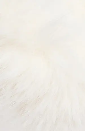 Bp. Faux Fur Earmuffs
