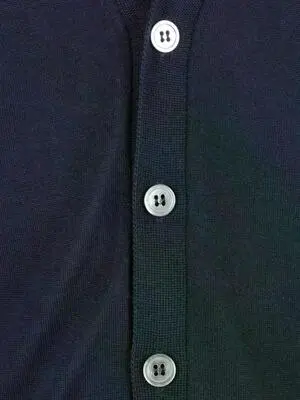 FILIPPO DE LAURENTIIS Buttoned Vest - Blue