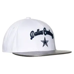 THE WILD COLLECTIVE Silver Dallas Cowboys Two-tone Snapback Hat