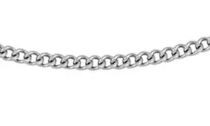 Estée Lauder Fine Curb Chain Necklace