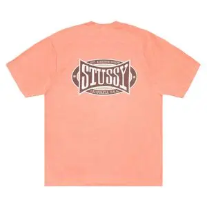 StÜssy Champion Oval Tee - Orange