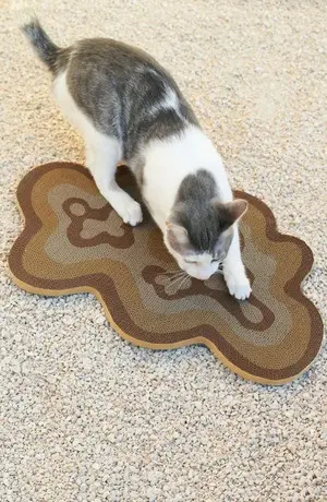 CATENARY Bloom Cat Scratcher
