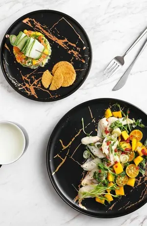 STONE + LAIN Zora Porcelain 4-piece Salad Plate Set - Black
