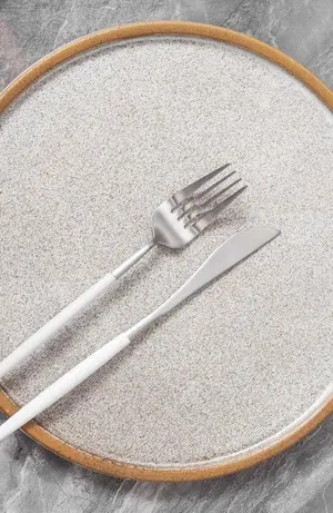 STONE + LAIN Vince Stoneware 4-piece Dinner Plate Set - Brown