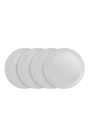 STONE + LAIN Albie Stoneware 4-piece Dinner Plate Set - Snow White