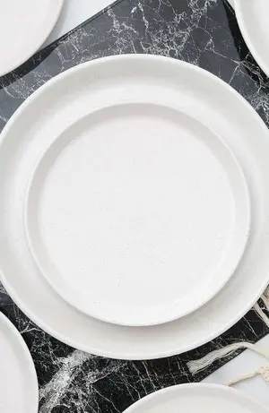 STONE + LAIN Albie Stoneware 4-piece Dinner Plate Set