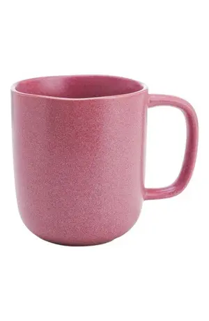 STONE + LAIN Tom Stoneware 4-piece Mug Set - Pink White