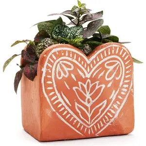 MATR BOOMIE Vasanta Heart Planter With Drainage - Terracotta