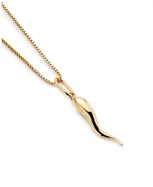 ANA LUISA Italian Horn Charm Necklace