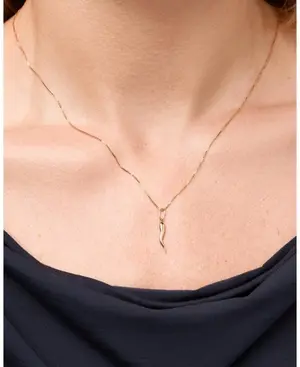 ANA LUISA Italian Horn Charm Necklace