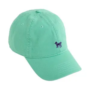 LOST PATTERN Baseball Cap - Teal Green