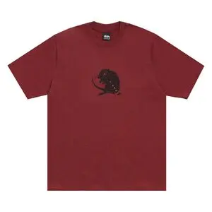 StÜssy Long Range Tee - Red