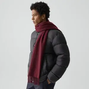 Theory Scarf In Plush Cashmere - Port