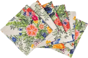 SOPHIE WILLIAMSON DESIGN 6 Organic Linen Napkins Multicolour