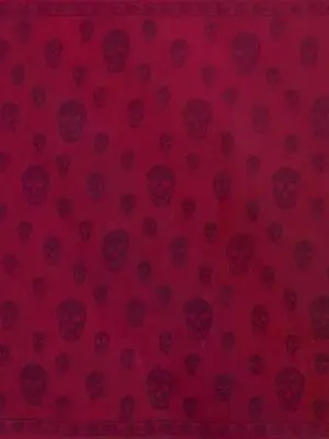 Alexander McQueen Skull-print Scarf