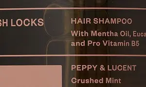 ASHLEY & CO Wash Locks Peppy & Lucent - Shampoo