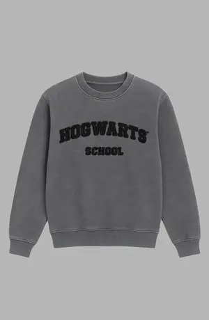 BLVCK Harry Potter X Hogwarts School Sweater - Charcoal