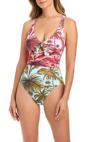 BLEU BY ROD BEATTIE Printed Tie-front One-piece Swimsuit