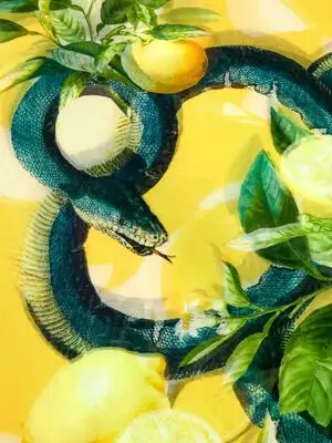 Roberto Cavalli Lemon-print Scarf